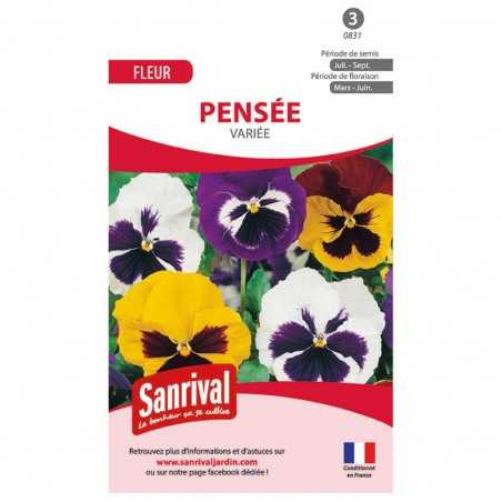 Graines de Pensées variées