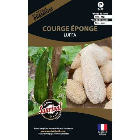 Courge éponge Luffa