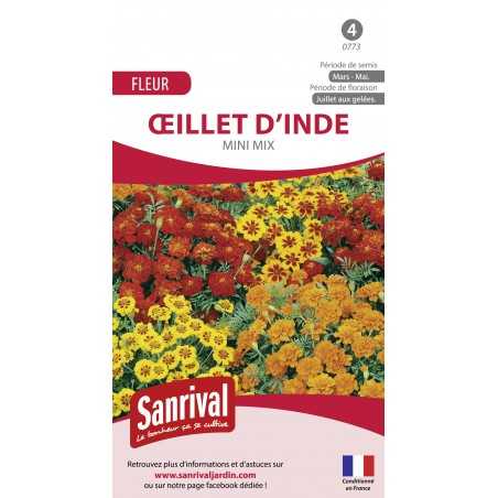 Graines d'Oeillet d'Inde mini mix