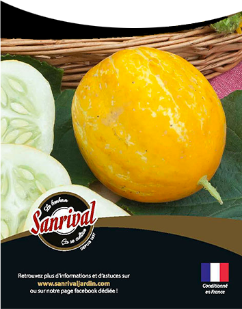Graines Sanrival Jardin