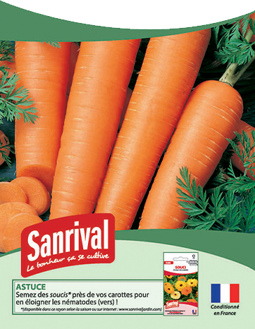 Graines Sanrival Jardin